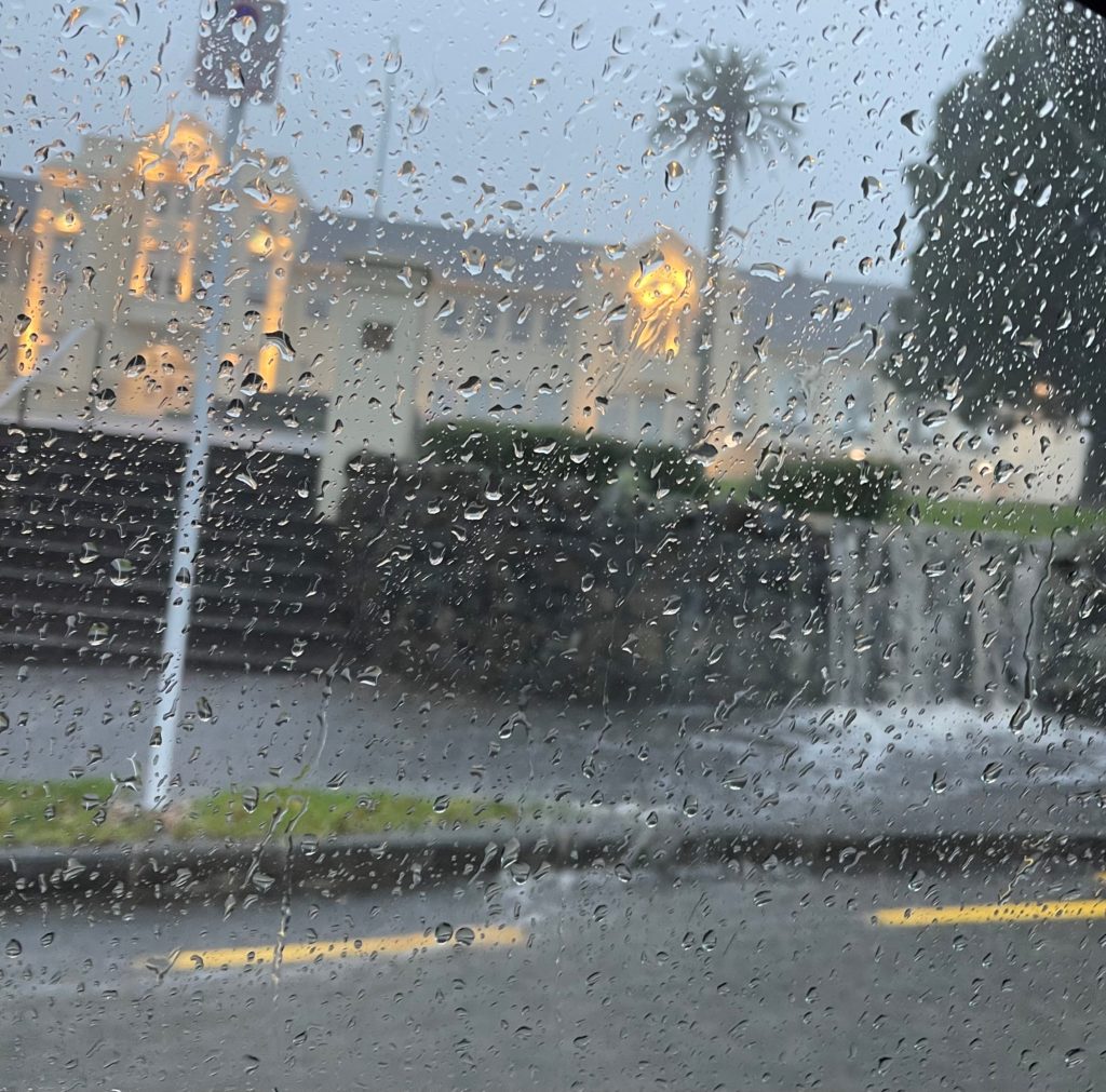 Auckland Anniversary Flooding What Happens Next Beresford Law auckland-anniversary-flooding-what-happens-next-beresford-law